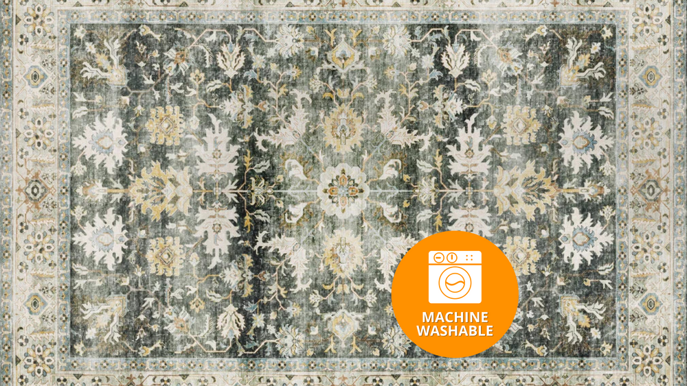 Pet Friendly Rugs | Stain-Resistant, Pet-Proof Area Rugs!